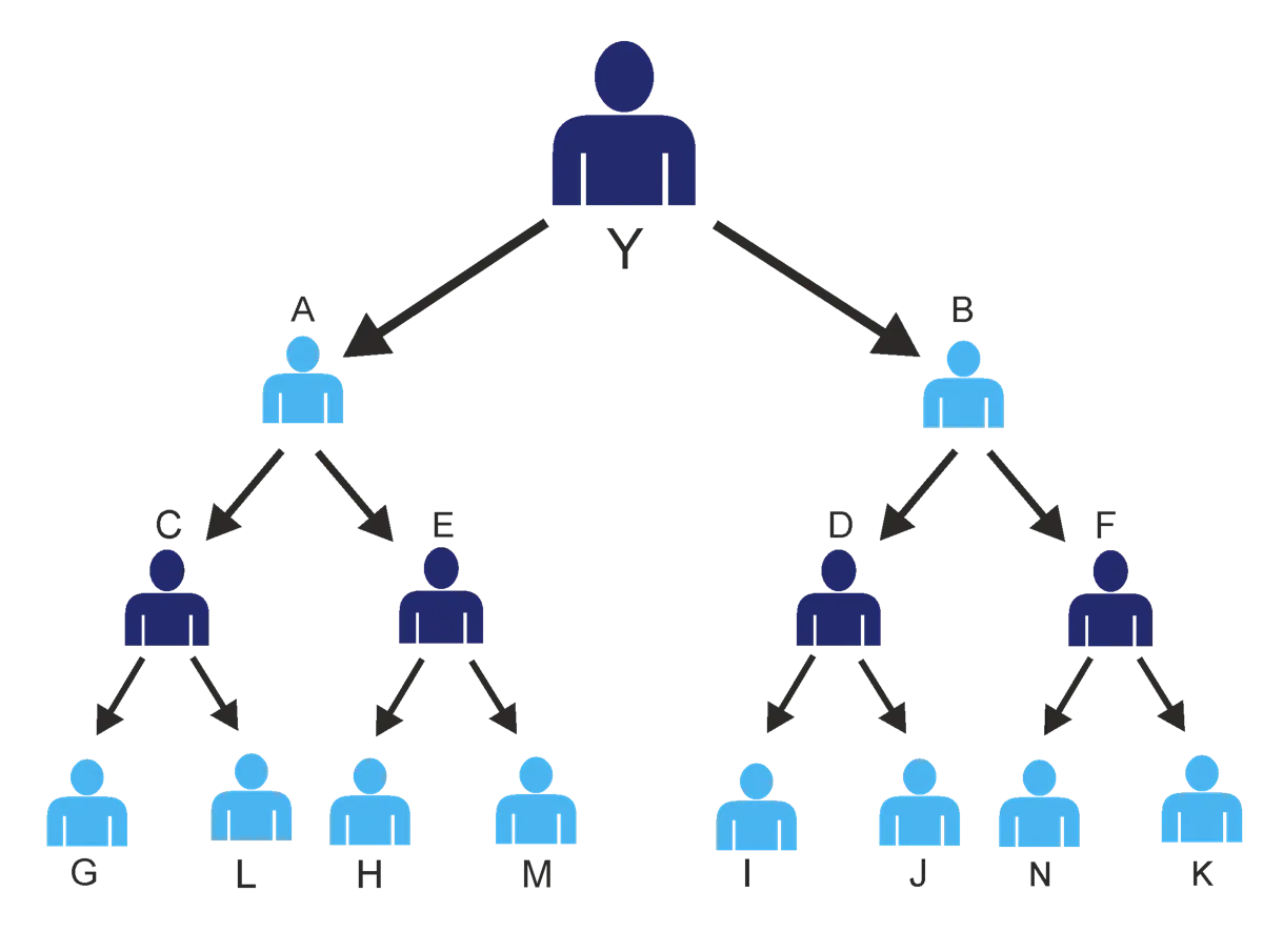 Sistem MLM Binary | PT Nextgen Inovasi Indonesia